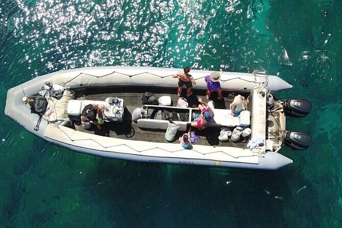 Whale Watching Expedition on Kauai - The Journey Begins: Meeting at Waimea