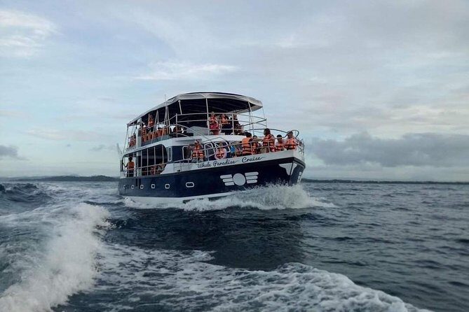 Whale Watching Experience in Mirissa - What to Expect on Your Whale Watching Trip in Mirissa