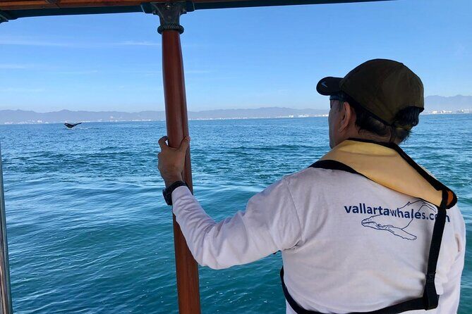 Whale Watching Experience in Puerto Vallarta - An In-Depth Look at the Whale Watching Experience in Puerto Vallarta
