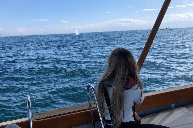 Whale Watching Experience in Puerto Vallarta - FAQ