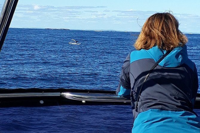 Whale Watching from Augusta in Western Australia - FAQs