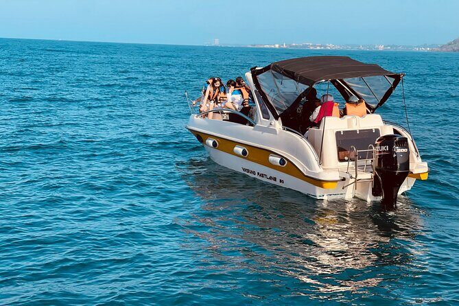 Whale Watching From Colombo - Key Points