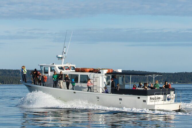 Whale Watching from Friday Harbor - What’s Likely to Be Seen