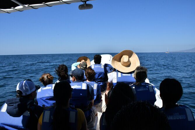 Whale Watching Guaranteed Experience in Puerto Vallarta - Who Will Love This Tour?