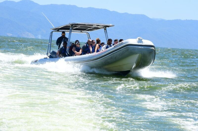 Whale Watching Guaranteed Experience in Puerto Vallarta - A Thorough Breakdown of the Itinerary