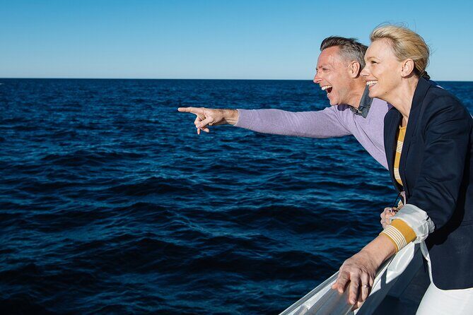 Whale Watching & Hop On Hop Off Sydney Harbour Explorer Cruise - A Practical Guide to the Experience