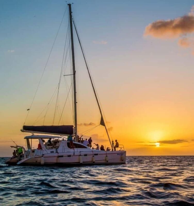 Whale Watching in a Yacht in Mirissa - Why This Tour Offers Good Value