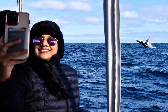 Whale Watching in Augusta Humpback and Southern Right Whales - Final Thoughts: Is It Worth It?