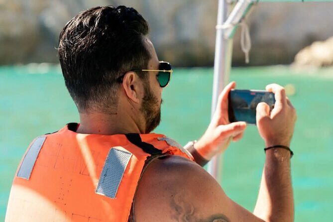 Whale Watching in Cabo San Lucas - The Bottom Line