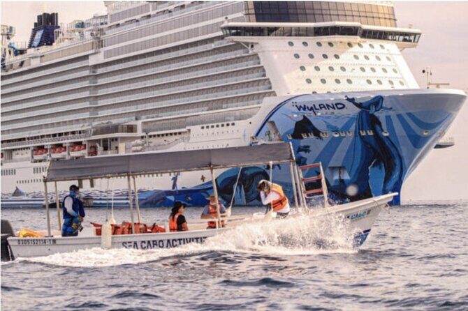 Whale Watching in Cabo San Lucas - FAQ