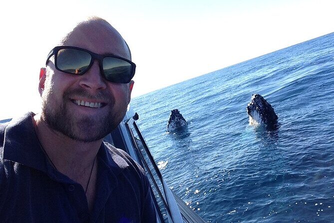 Whale Watching in Coffs Harbour - Analyzing the Cost and Overall Value
