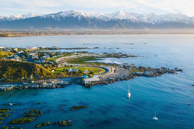 Whale Watching in Kaikoura by Boat - Overall Experience: Authentic, Exciting, and Well-Organized