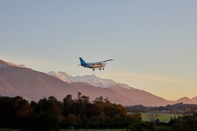 Whale Watching in Kaikoura - Ultimate Experience - The Sum Up: Who Will Love This Experience?