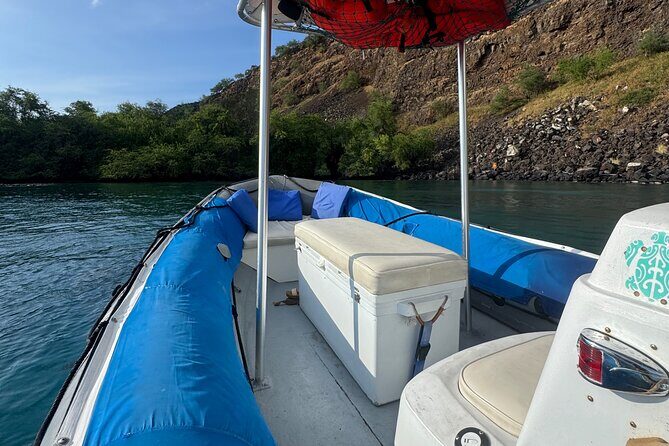 Whale Watching in Kona - A Close-Up Look at the Kona Whale Watching Experience