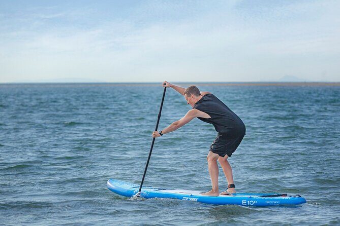 Whale Watching in Mirissa by Catamaran Cruise - FAQs