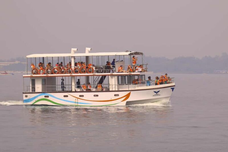 Whale Watching in Mirissa Sri lanka - What Travelers Can Expect