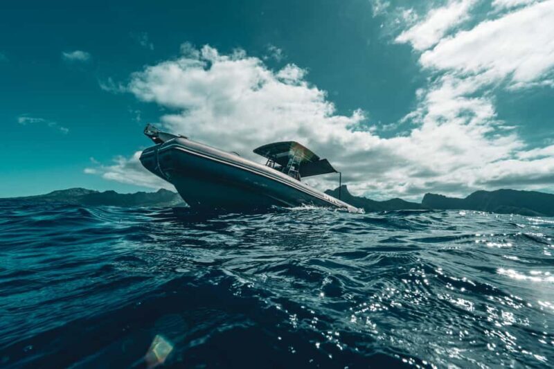 Whale watching in Moorea  Half-day private tour - Who Should Consider This Tour?