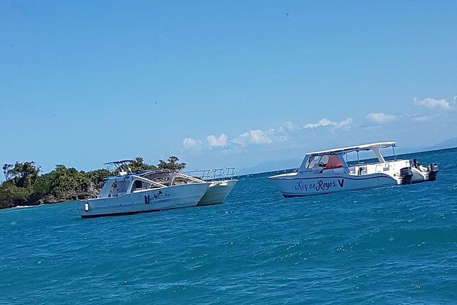 Whale Watching in Samana - Practical Tips for Your Day