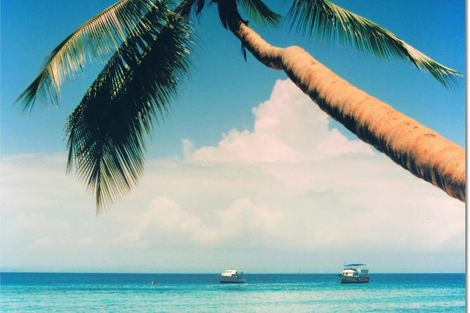 Whale Watching in Samana - FAQ