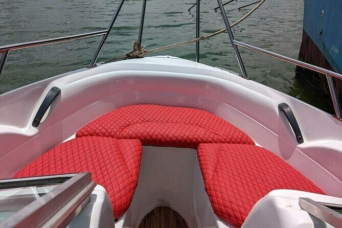 Whale Watching in Speed Boat in Mirissa - Final Thoughts