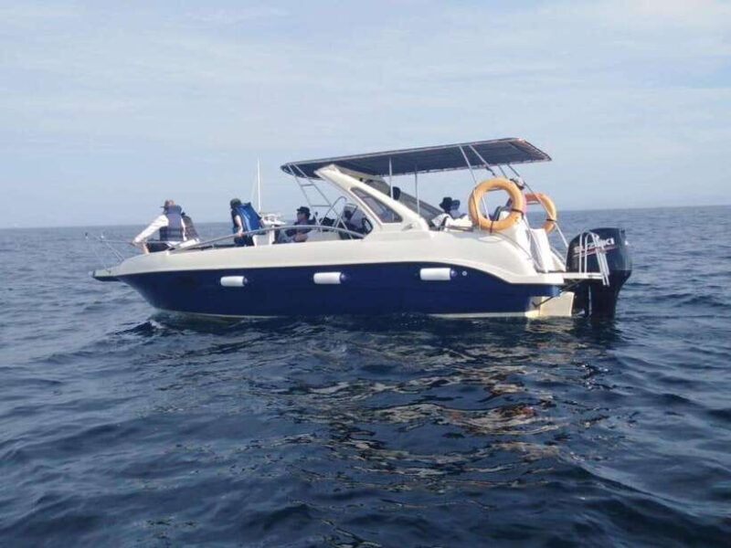 Whale Watching in Speed Boat in Mirissa - Key Points