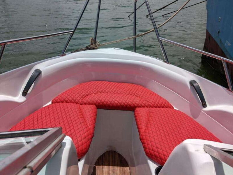 Whale Watching in Speed Boat in Mirissa - An Honest Look at the Whale-Watching Speed Boat Experience