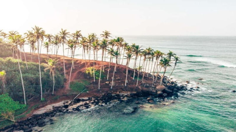 Whale Watching in Sri Lanka A Majestic Ocean Adventure - FAQ