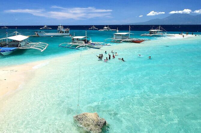 Whale Watching in Sumilon Island with Ocean View Resort and Lunch - Key Points