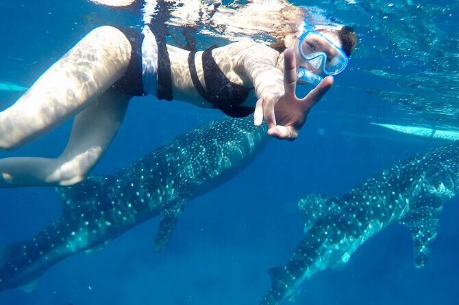 Whale Watching in Sumilon Island with Ocean View Resort and Lunch - What Sets This Tour Apart