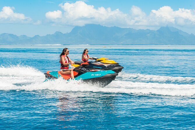 Whale watching in the calm of the peninsula with Ttahi tours - FAQ