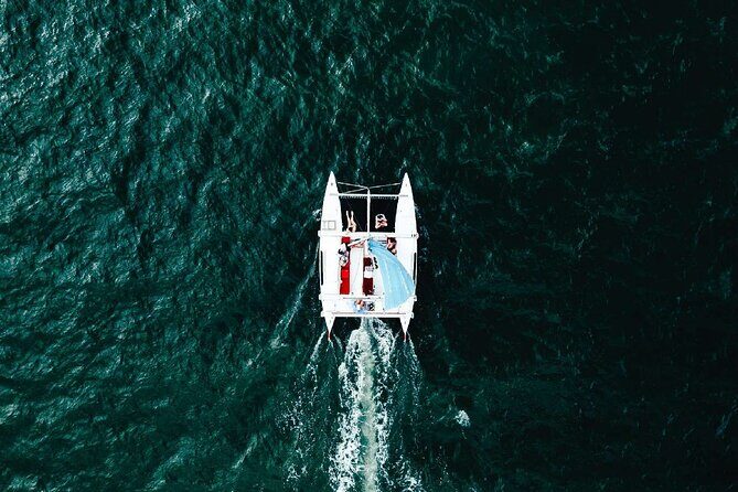 Whale Watching in Trincomalee by Catamaran cruise - Key Points