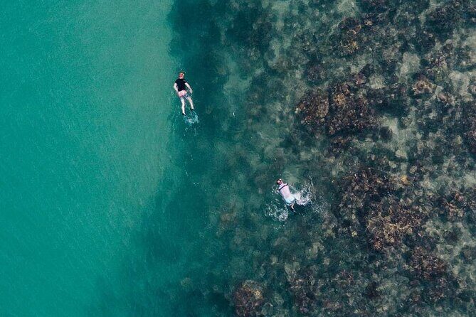 Whale Watching in Trincomalee by Catamaran cruise - Scenic Departure and Early Morning Vibe