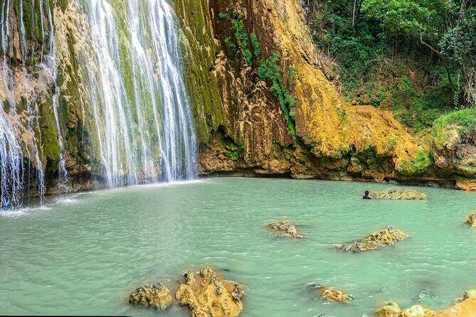 Whale Watching & Limón Waterfall Day Trip - Who Would Love This Tour?