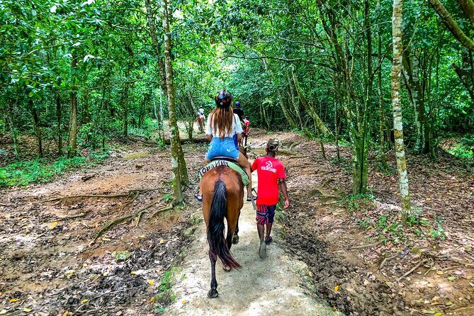 Whale Watching & Limón Waterfall Day Trip - The Sum Up