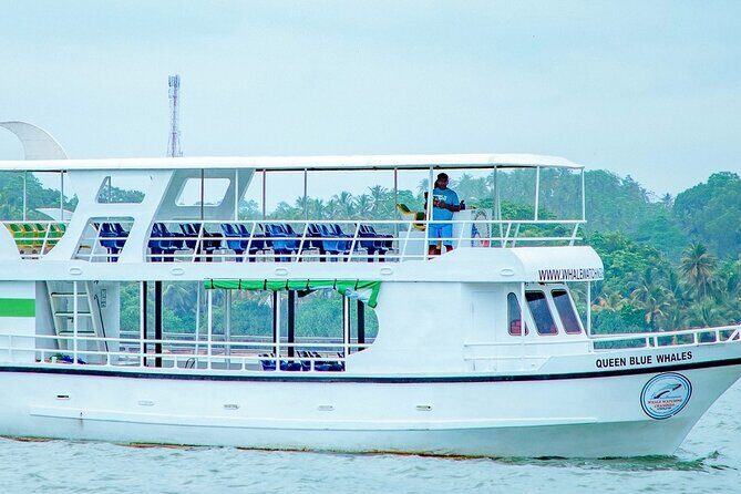 Whale Watching Mirissa in Sri Lanka with Pickup and Breakfast - Overview of the Tour