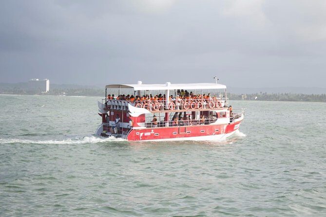 Whale Watching Mirissa with Eagle Eye - An Honest Look at Whale Watching in Mirissa