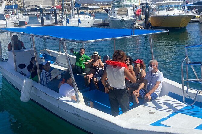 Whale Watching on a Glass Bottom Boat - An In-Depth Look at the Whale Watching Glass Bottom Boat Tour