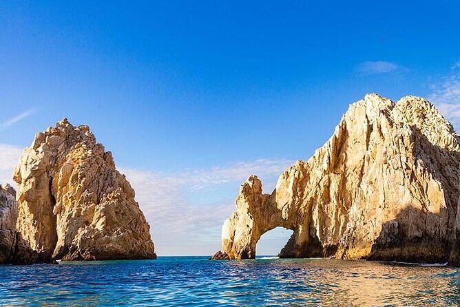 Whale Watching on a Glass Bottom Boat - FAQs