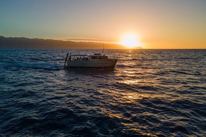 Whale Watching on "The World Famous North Shore of Oahu", Hawaii - Whale Watching on the "World Famous North Shore of Oahu" – An Authentic Hawaiian Experience