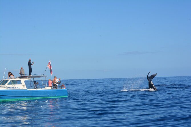Whale Watching on "The World Famous North Shore of Oahu", Hawaii - What You Can Expect from the Itinerary