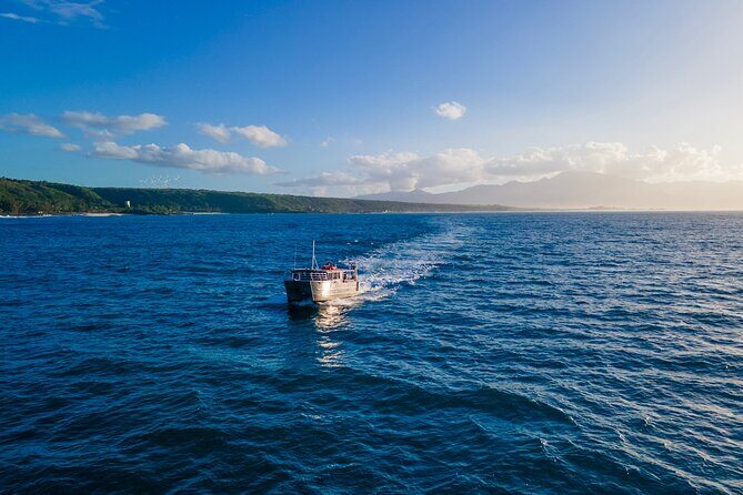 Whale Watching on "The World Famous North Shore of Oahu", Hawaii - The Sum Up