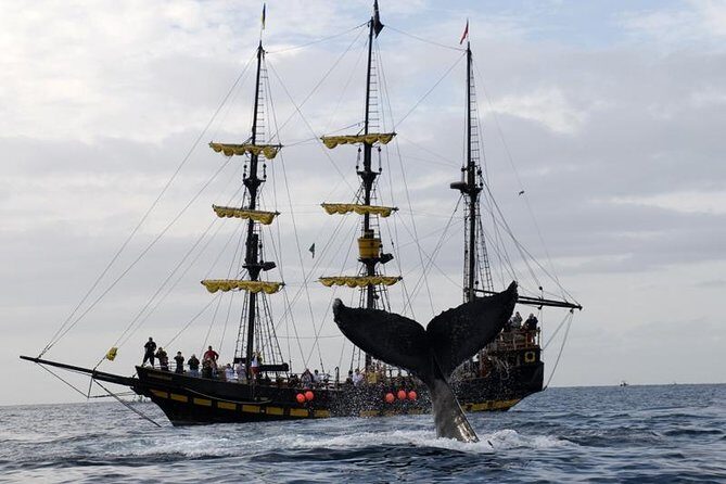 Whale-Watching Pirate Ship Cruise in Los Cabos - Who Should Book This Tour?