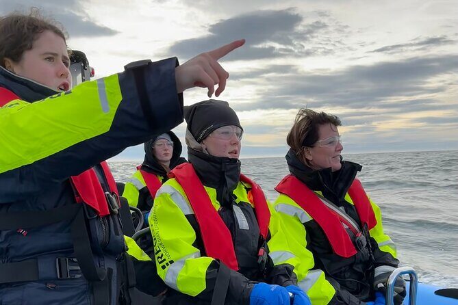 Whale Watching - RIB Boat Adventure in Kopavogur, Iceland - What the Reviews Say