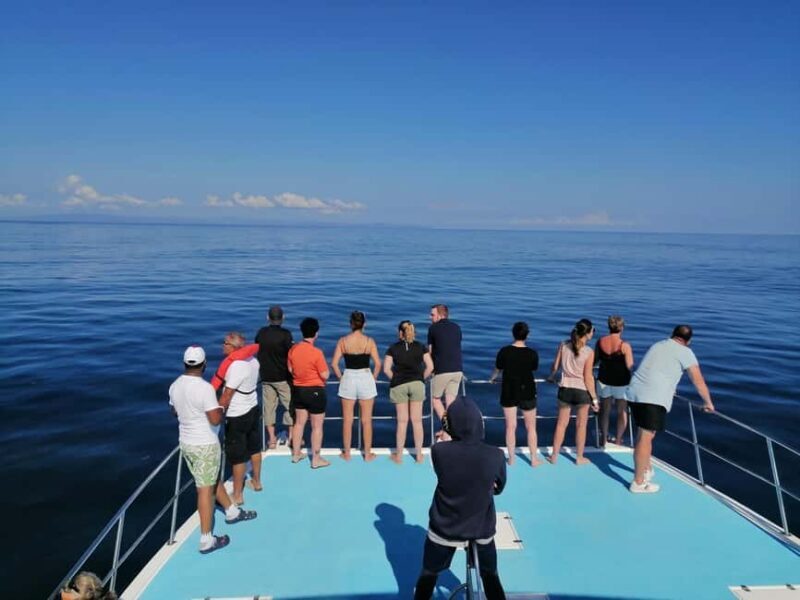 Whale Watching & Safari Tour to Montaña Redonda - Final Thoughts: Who Will Love This Tour?