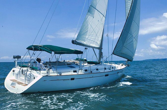 Whale Watching Sailboat Tour in San Jose del Cabo - Estimated Value and Who Will Love It