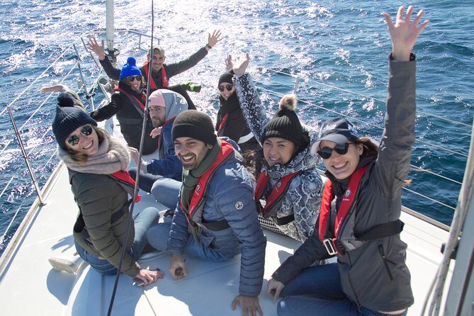 Whale Watching Sailing Experience in Sydney - Key Points