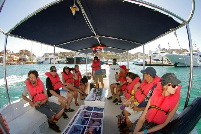 Whale Watching Snorkel Combo - Who Will Love This Tour?
