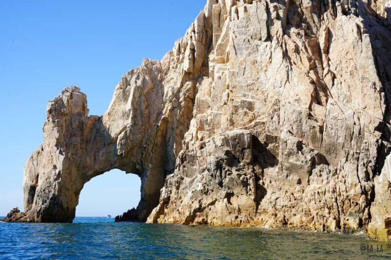 Whale watching, snorkeling, lunch, and drinks in Cabo San Lucas - Whale Watching: The Main Event