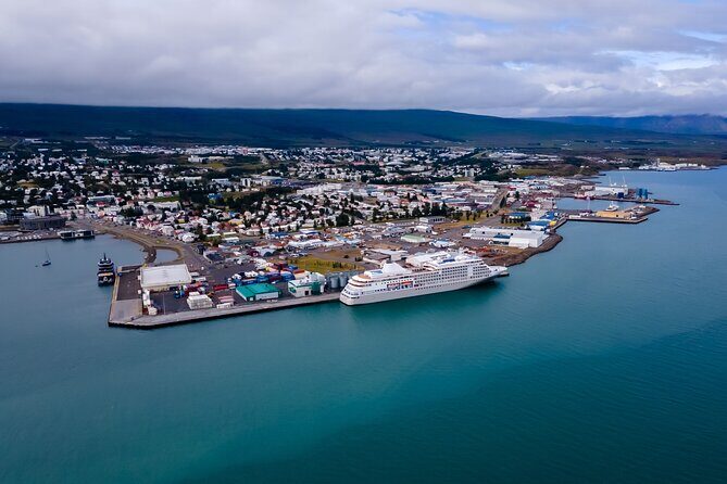 Whale Watching Tour from Akureyri City Central - An In-Depth Look at the Whale Watching Experience in Akureyri