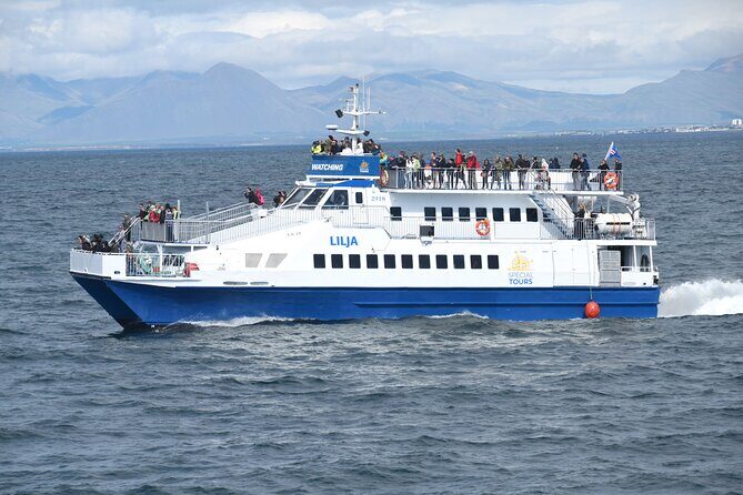 Whale Watching Tour from Akureyri City Central - Who Should Consider This Tour?